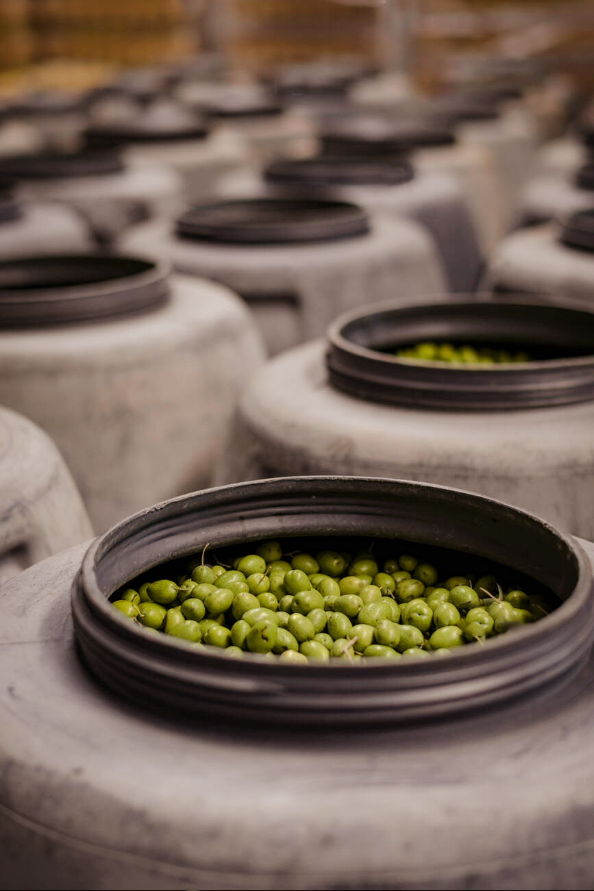 Our Difference – Big Picture Foods